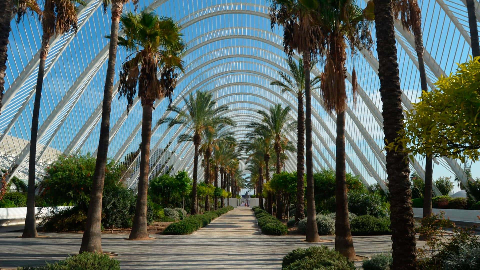Valencia | Intelier Hotels | City and Holidays | Best Price Guaranteed